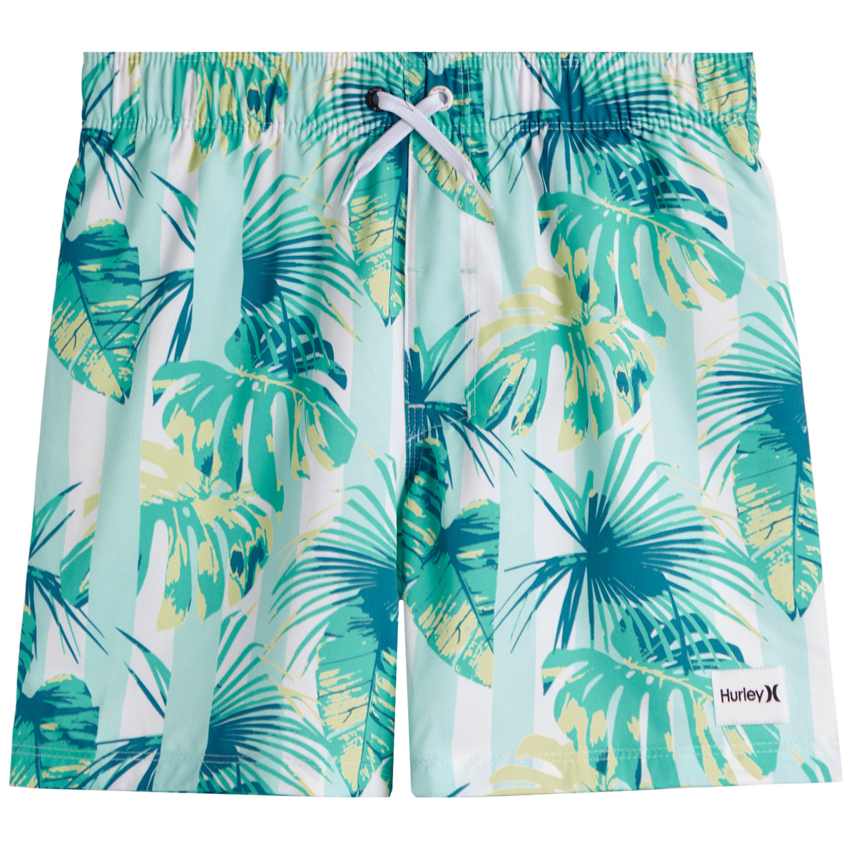 Cabana Stripe Swim Trunk | Denny's