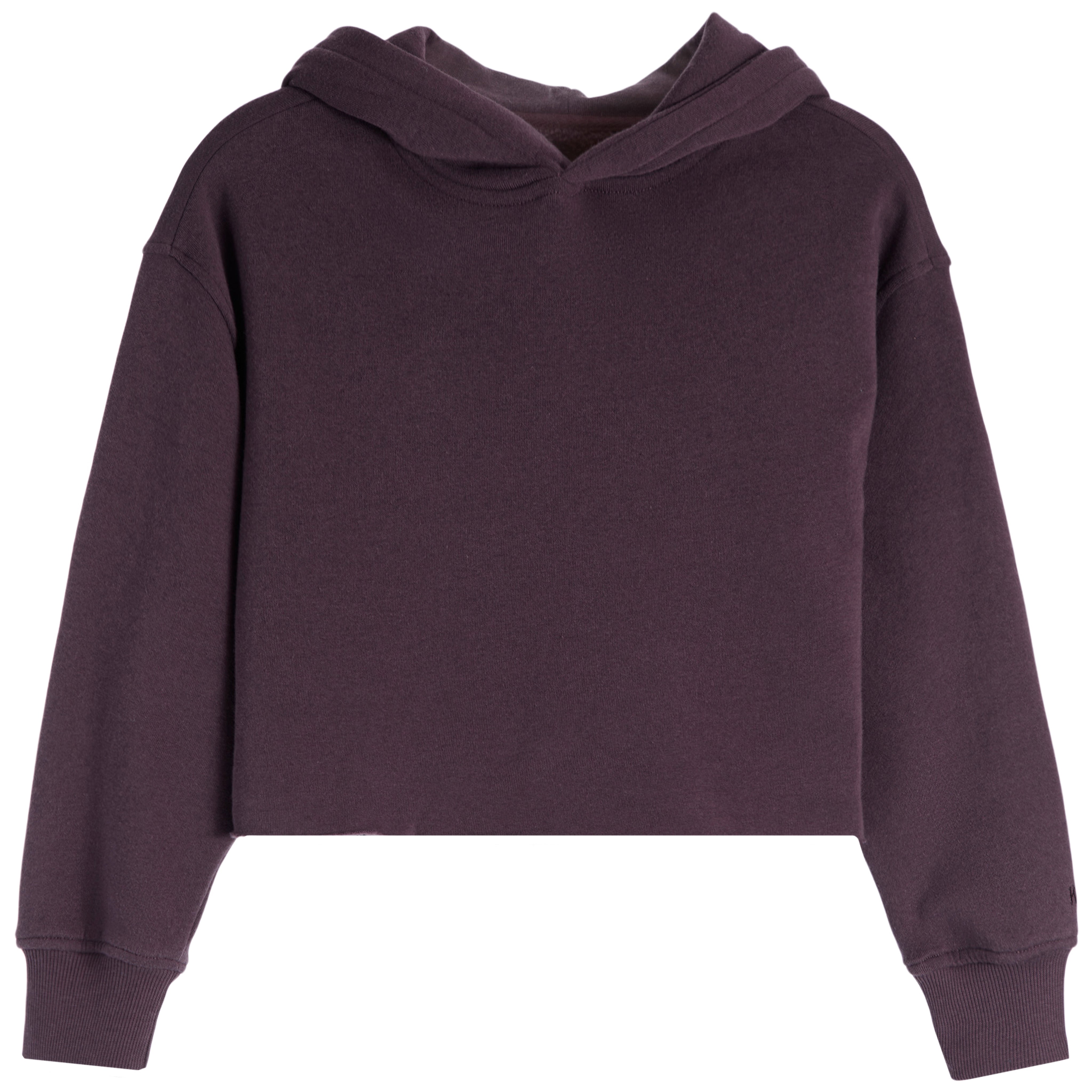 Dylan Crop Hoodie – Denny's X Lester's