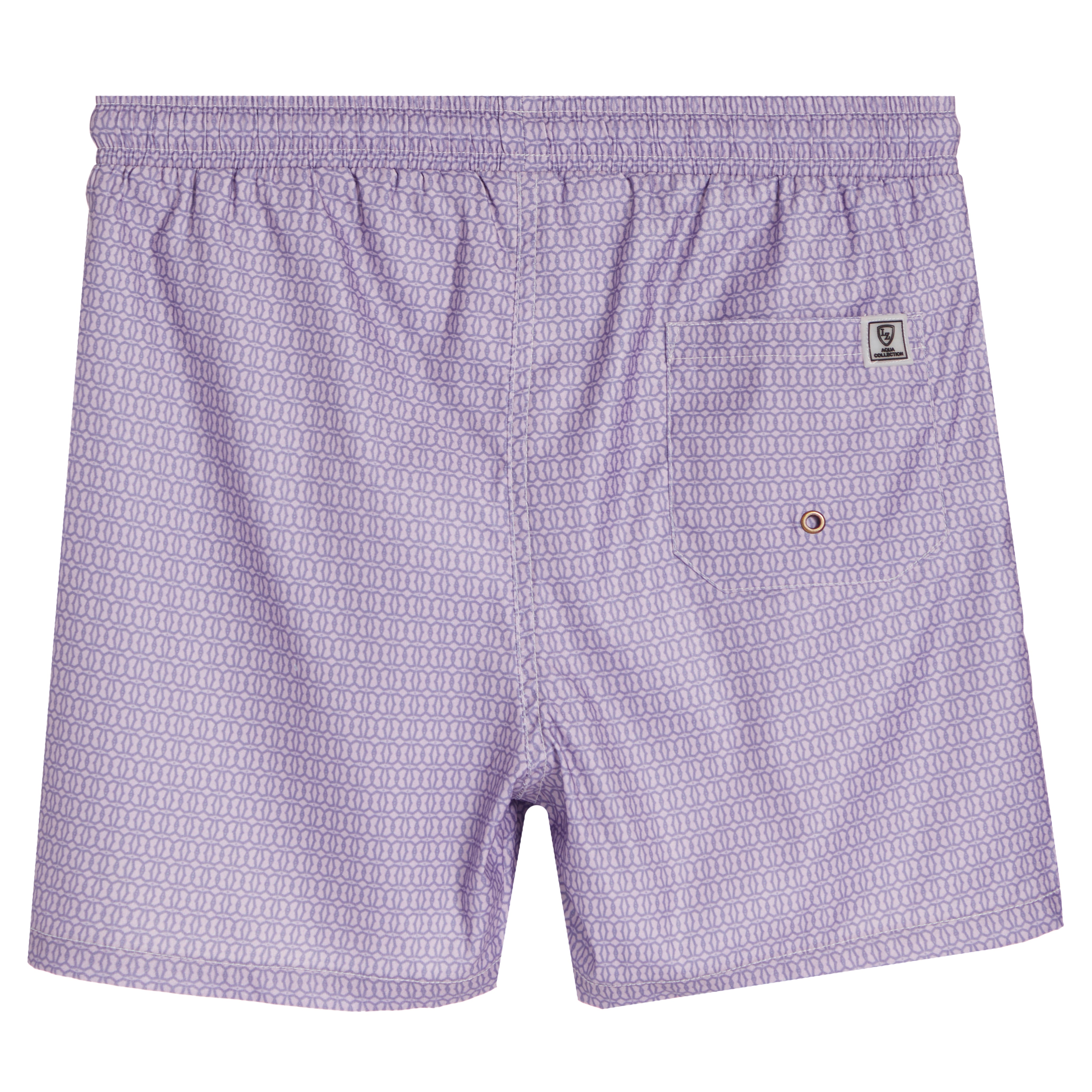 Geo Crown Brief Lined Swim – Denny's X Lester's