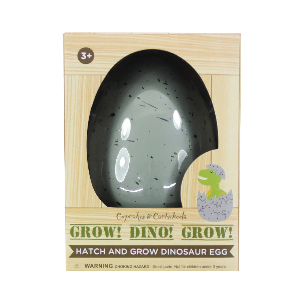 Mystery Dino Egg Gift Box – Denny's X Lester's