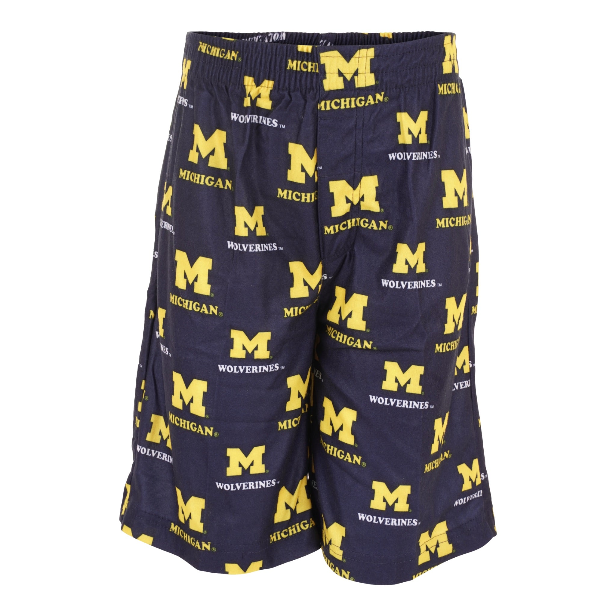 Michigan Boxer – Denny's X Lester's