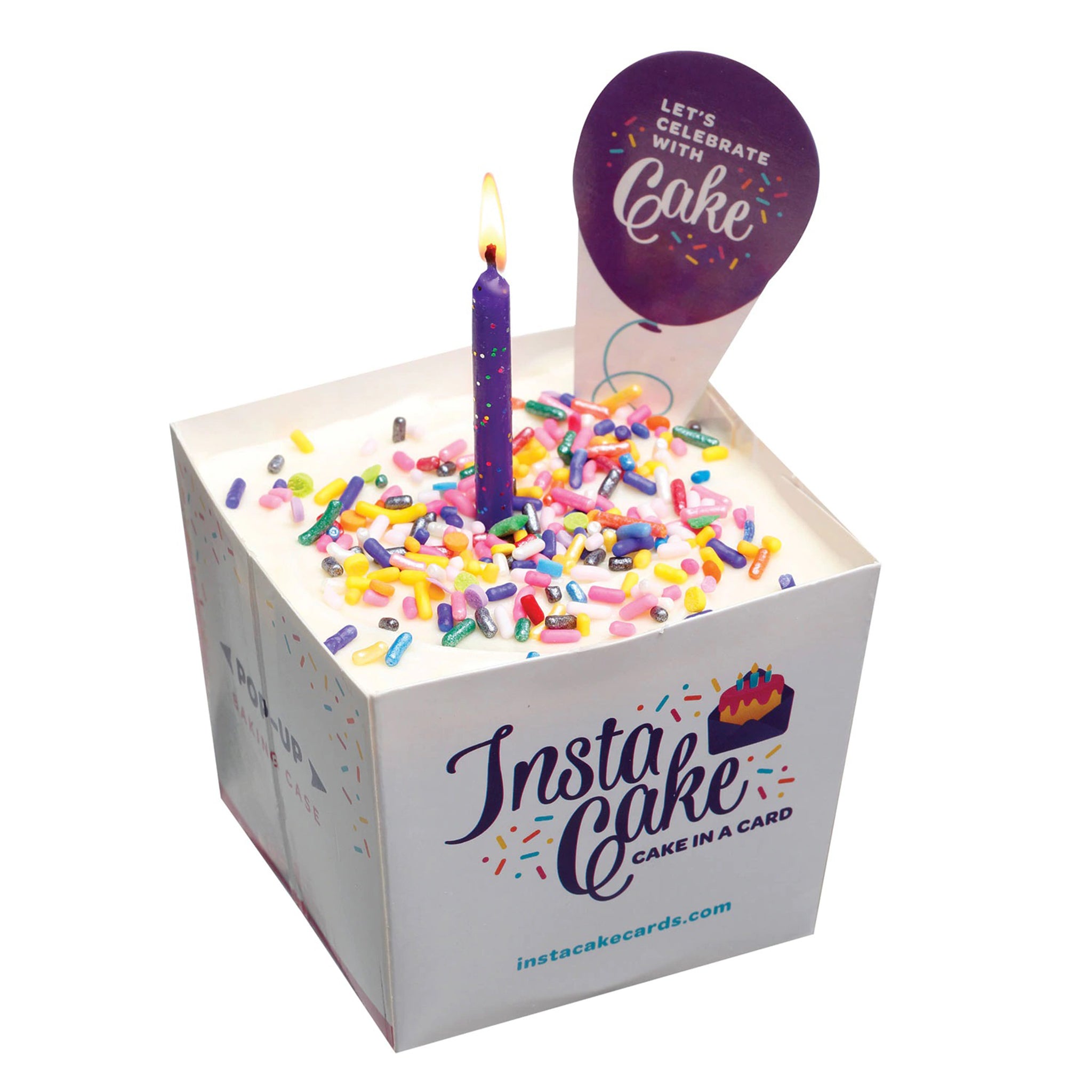 Vanilla Cake Kit – Denny's X Lester's